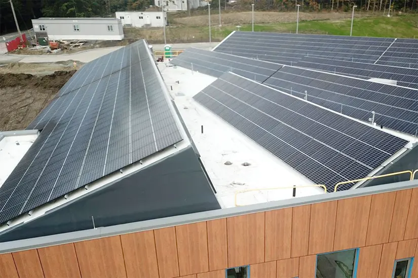 Award-Winning Elementary School With Unique Roof Design Has Minimal ...